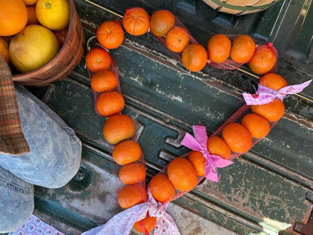 Home | SUNSET RIDGE FINE FRUITS Quality Organic Citrus grown atop the ...